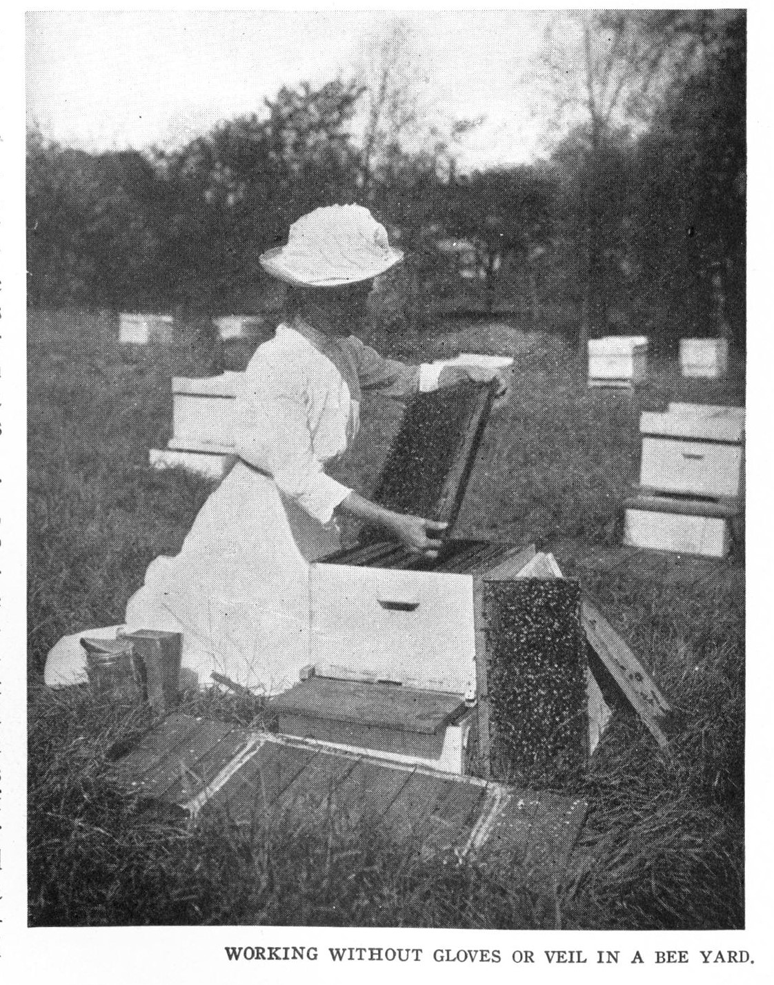 “The only reason for being a bee is to make honey. And the only reason ...