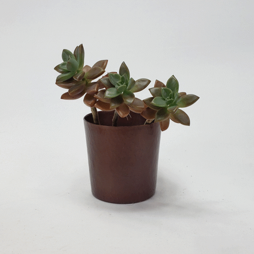 Copper Cache Pot – Stickley Museum