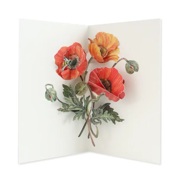 Poppies Pop-up Card – Stickley Museum